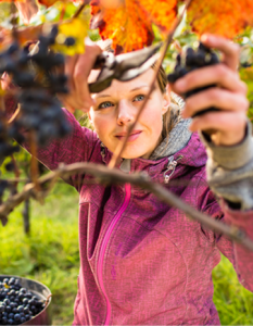 MATE-XT Exoskeleton - Comau